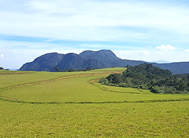 Moon Plains - Dipuravana